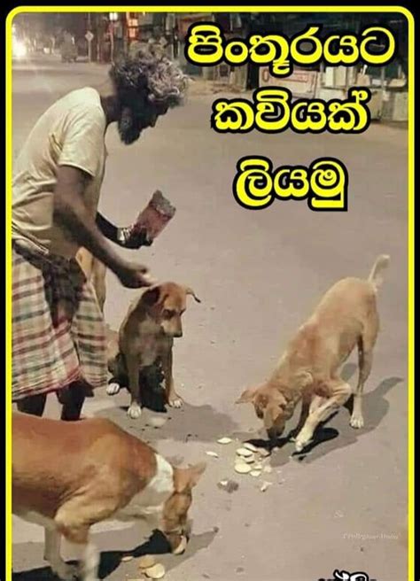 නිසදැස් කවි ගී අරණ 02 බඩේ ගින්දර දන්නවානම් ඒ ගින්න විදි එකෙක්මයි