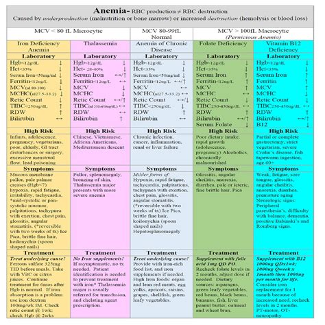 Anemia Flow Chart 1 Page Very Colorful Advanced Pathology Etsy