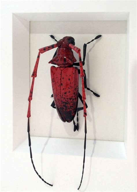 Tarigons Ptoc On Tumblr