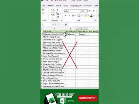 How To Easy Separate Text Into Excel Exceltutorial Exceltips Shortvideo Excelbeginner