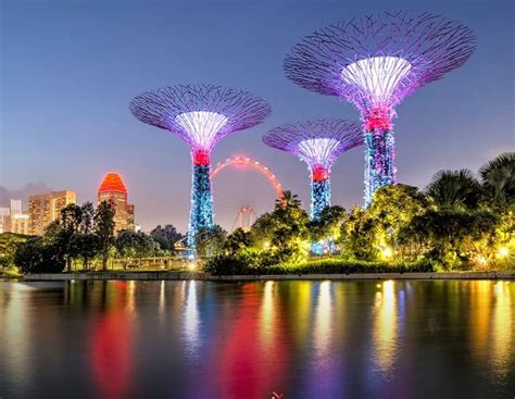 گروپی ماڵی پاشا