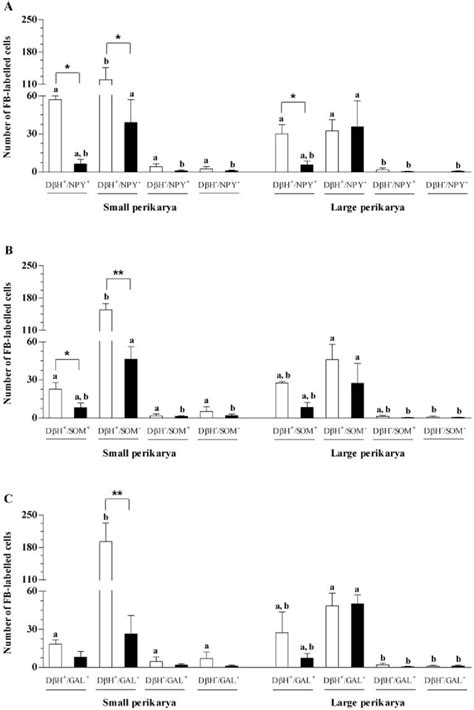 mean ± sem numbers of small and large ovarian perikarya download