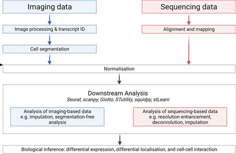Typical Structure Of Spatial Transcriptomics Analysis Data Are First