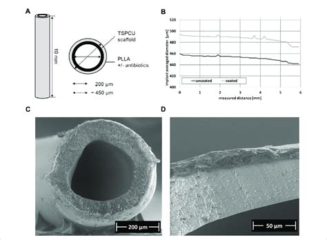 Characterization Of Implants Samples A Schematic Representation Of Download Scientific
