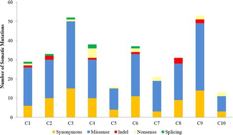 Distribution Of Somatic Mutations Identified From The Discovery Set Download Scientific