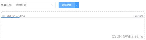 element plus 文件上传进度条百分比小数点问题 el upload 显示百分比 csdn博客