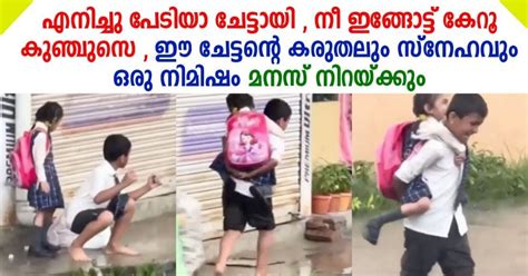 Brother And Sister Love Viral Video Entertainmet News Jobvacancies Dubai