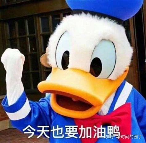 分享assume 的几种用法 知乎