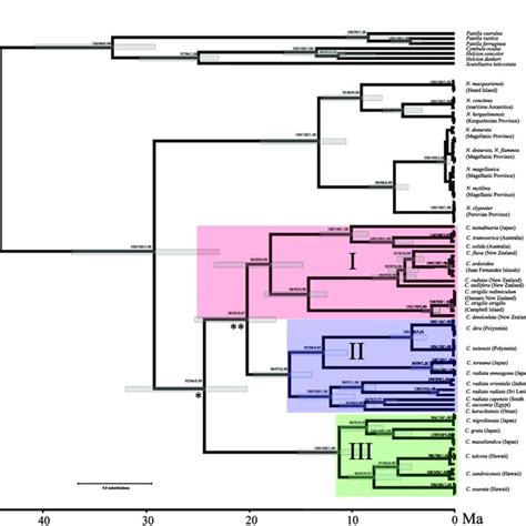 Bayesian Maximum Credibility Tree 100 X 10 6 Generations Trees Sampled