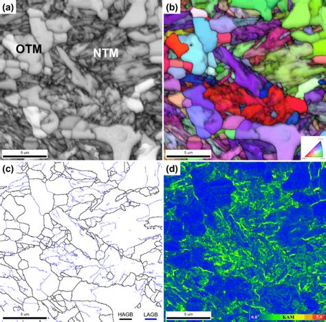 EBSD Analysis Shows A Mixed Microstructure Of Newly Transformed Download Scientific Diagram