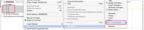Intellij Idea 同一项目使用多个git管理多个分支（不同项目 多模块 Pull 更新 Push 推送 操作）idea 管理两个