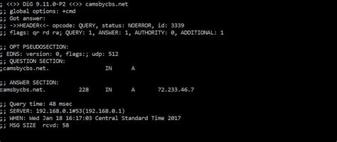 dns resolving to wrong address