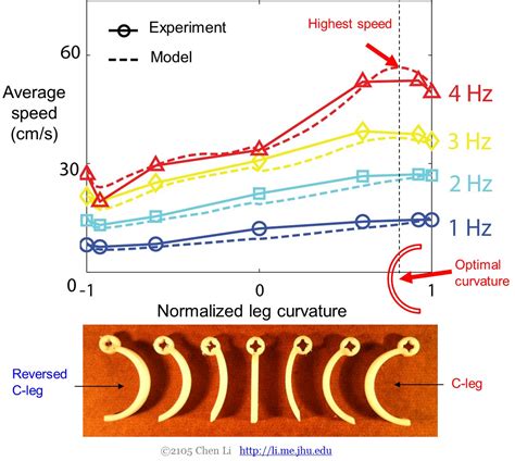 First Terradynamics Resistive Force Theory Terradynamics Lab
