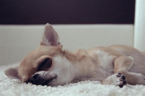 Sleep Naked And Other Expert Tips That Will Actually Help You Get Some Shut Eye