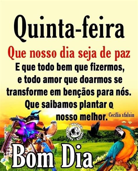 Nerci Lima Posted On Linkedin