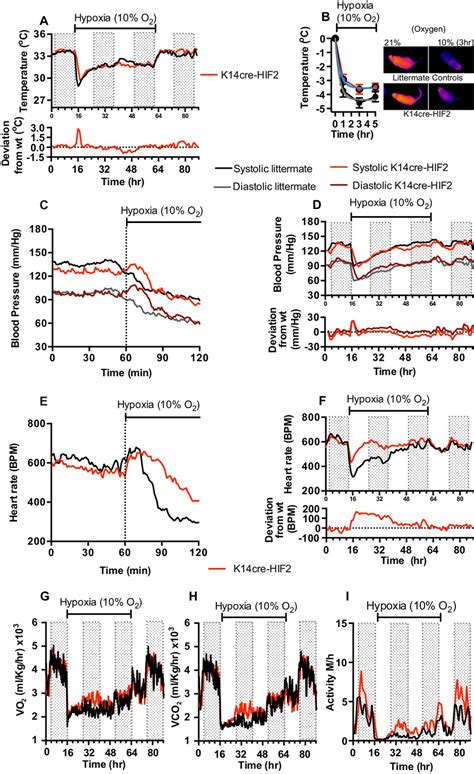 Figures And Data In Cardiovascular Adaptation To Hypoxia And The Role Of Peripheral Resistance