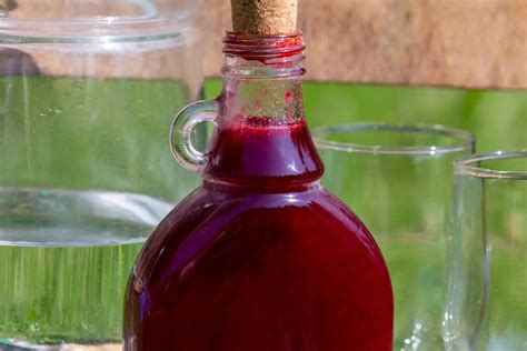 Black Raspberry Syrup Recipe