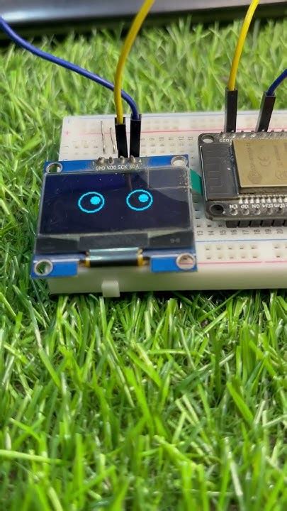 animated eyes on oled display esp32 diy project shortsfeed shorts