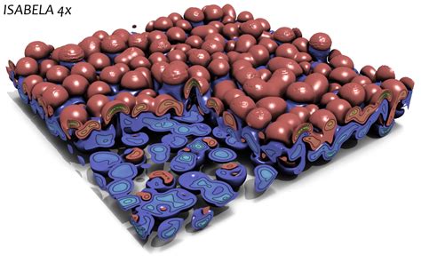 Zfp Compressor Llnl Silo Github Wiki