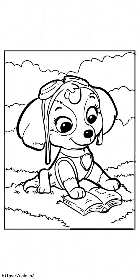 Cute Paw Patrol Skye Coloring Page