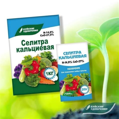Удобрения из селитры: что это такое, виды селитры, для чего ...