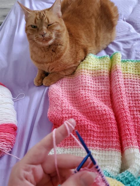 Kandi Boosts Morale Rcatswhocrochet