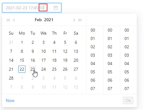 When The ShowTime Property Of DatePicker Is True Hover Date Options Placeholder Is Wrong