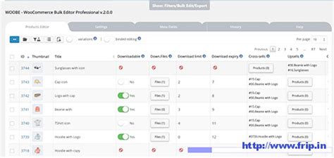 Best WooCommerce Bulk Edit Plugin Frip In