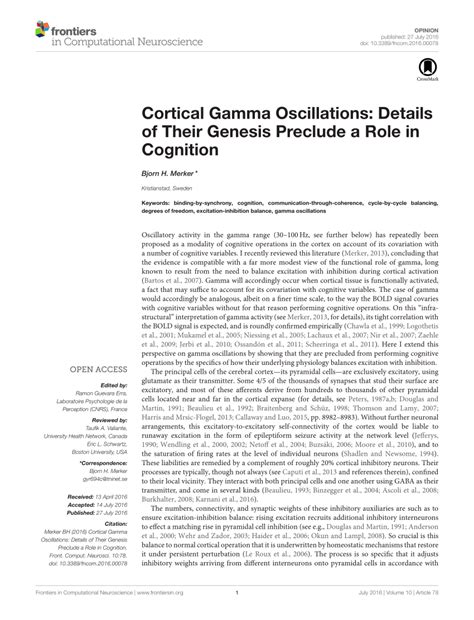 Pdf Cortical Gamma Oscillations Details Of Their Genesis Preclude A