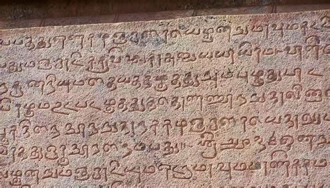 How Healthy Behaviors Ai Was Created Using Natural Language Data And Lexicons By Hetal Bhatt