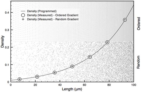 Ordered And Random Dngs Superposed With Their Programmed Exponential Download Scientific
