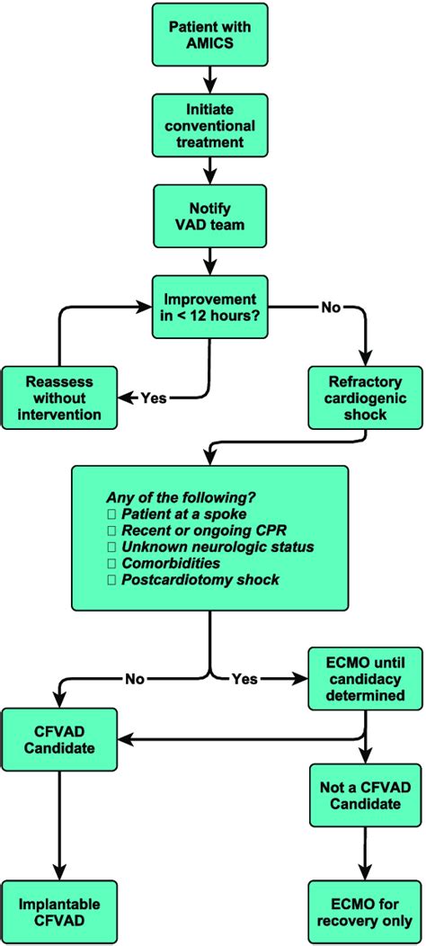 Previous Algorithm Of Mcs Strategies For Cardiogenic Shock As Used By