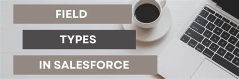 Field Types In Salesforce Forcelearn