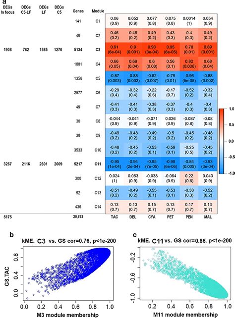 module trait associations and gene relationship to the trait in modules