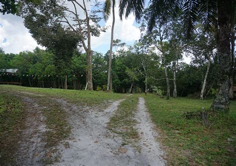 Kairuni Village A Quiet Oasis Guyana Chronicle