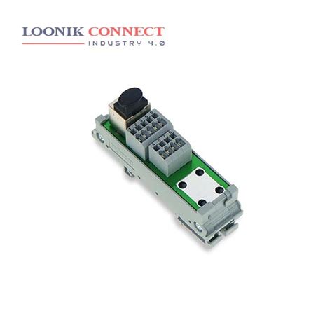 Interface Module Loonik Connect