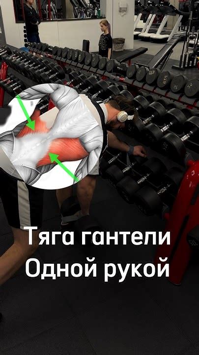 Тяга гантели в наклоне одной рукой техника выполнения спина