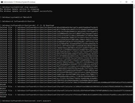 How To Clear Windows Update Cache On Windows