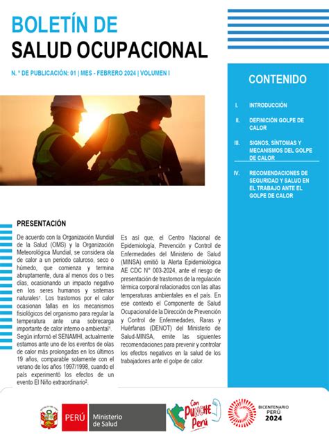 Boletin de Salud Ocupacional 2024 N 1 Seguridad y Salud en El Trabajo Ante Un Golpe de Calor ...