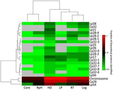 Hierarchical Cluster Analysis Of Replicon Usage For Each Cell Culture