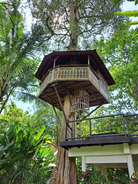 Best Ubud Treehouse Hotels In Bali Top Treehouses