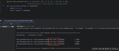 Pytest之parametrize参数化 Csdn博客