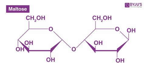Disaccharides Definition Function Structure Examples