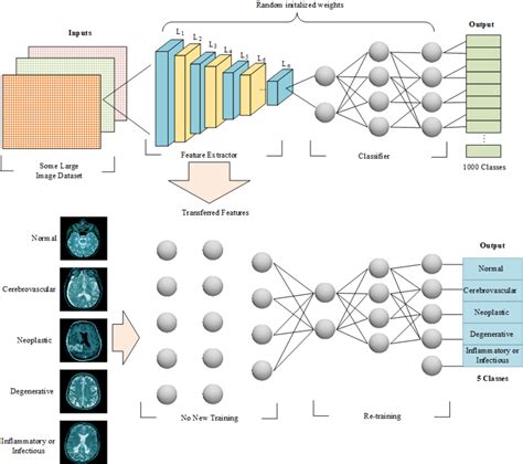 Figure 3 From Convolutional Neural Networks For Multi Class Brain