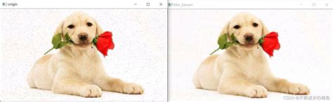 【opencv 系列2】06 图像平滑去噪origin滤波 Csdn博客