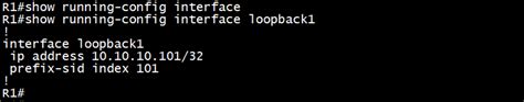 Segment Routing Extension With Igp Is Is In Ocnos Ip Infusion