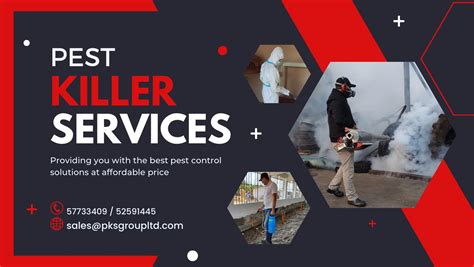 Little Pest Elimination Give Little Pest Elimination A Call Today And