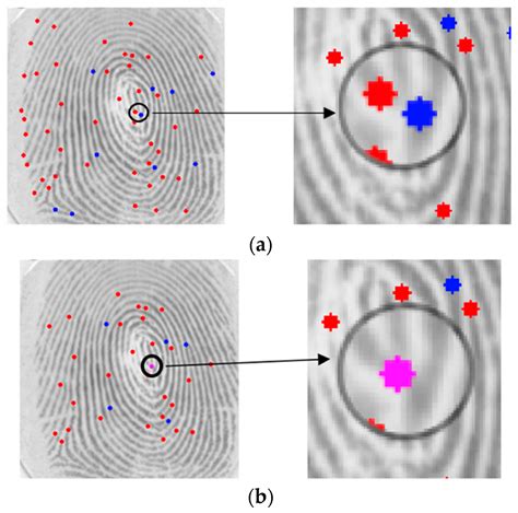 Fingerprint Recognition In Forensic Scenarios
