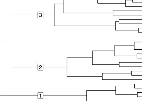 Results Of Hierarchical Cluster Analysis Based On Relative Rates Of