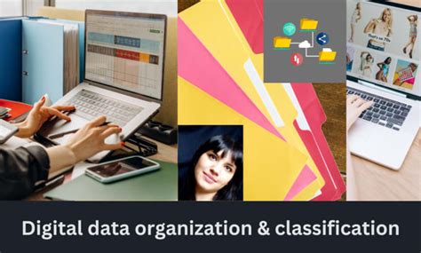 Organize Classify And Unclutter Your Data And Information By Mokusho Fiverr